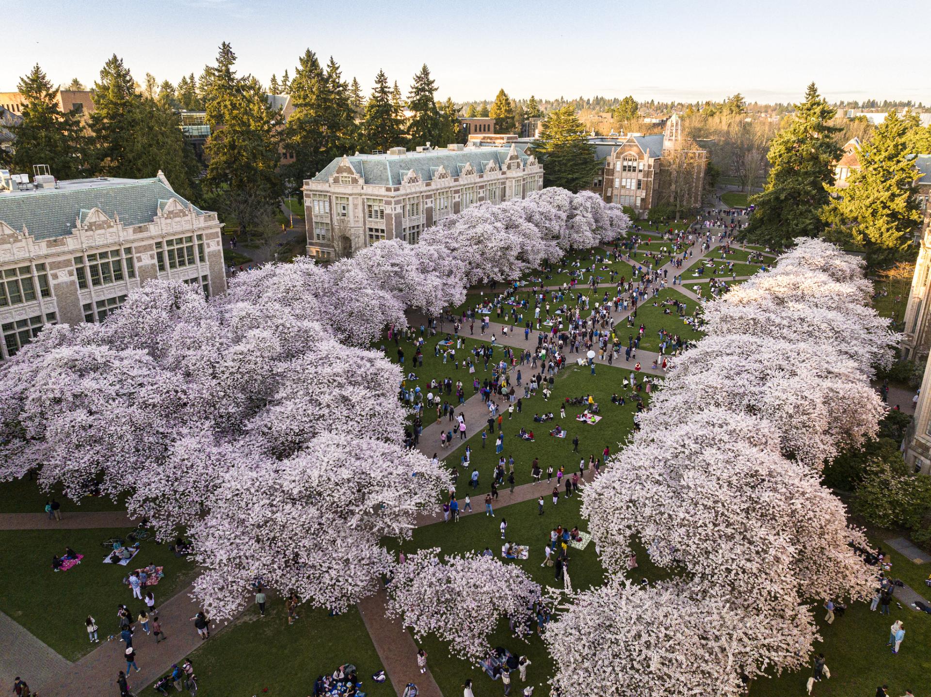 Information Session for Rehabilitation Science PhD Program - UW ...