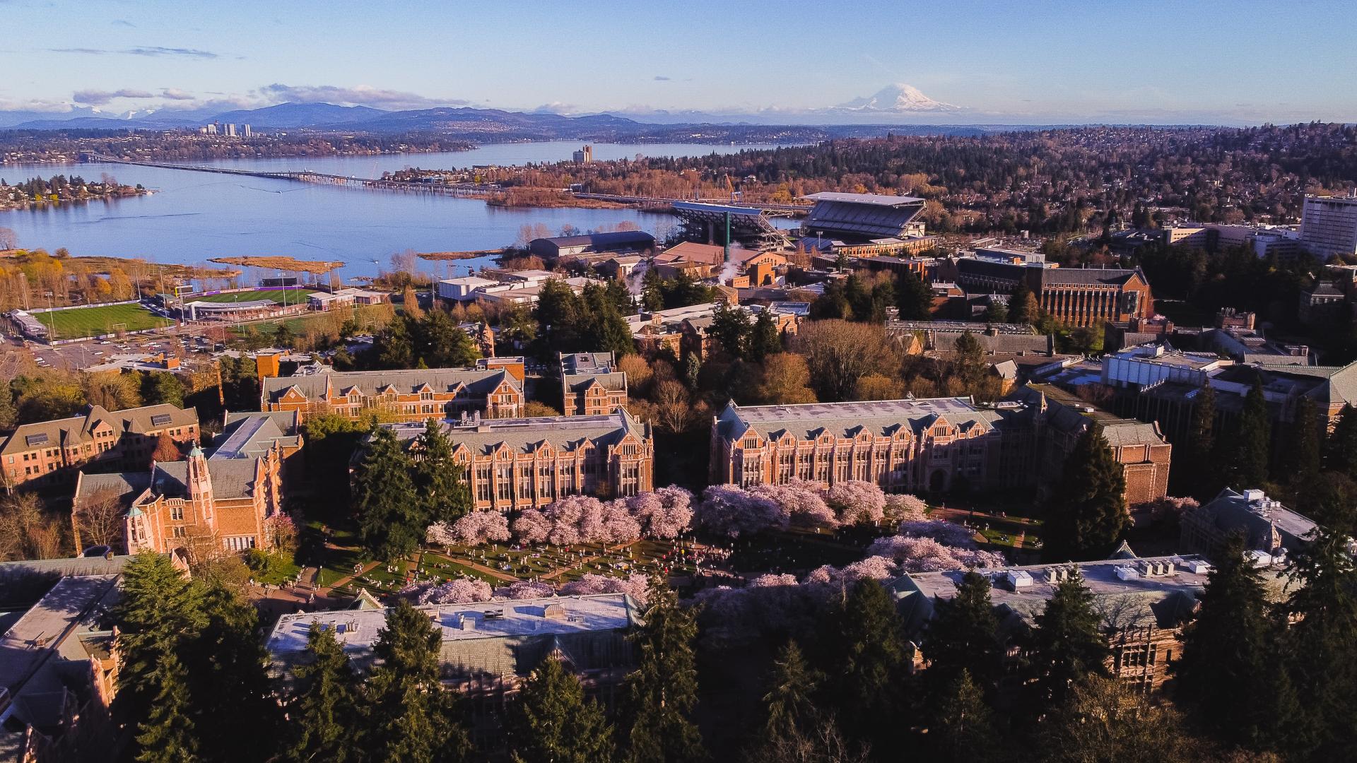 Congratulations to 2025 Top Docs - UW Medicine | Rehabilitation Medicine